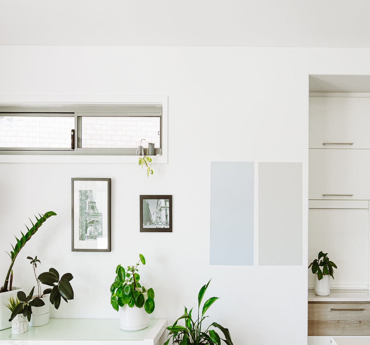 Our Most Popular Samples – The Big Paint Sample