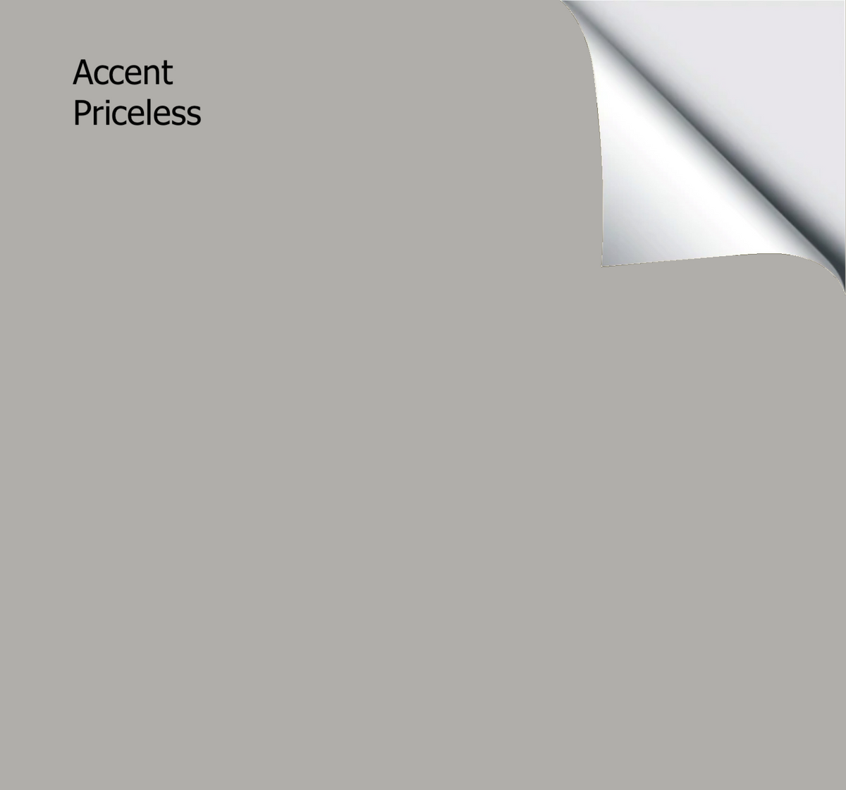 Accent Priceless – The Big Paint Sample