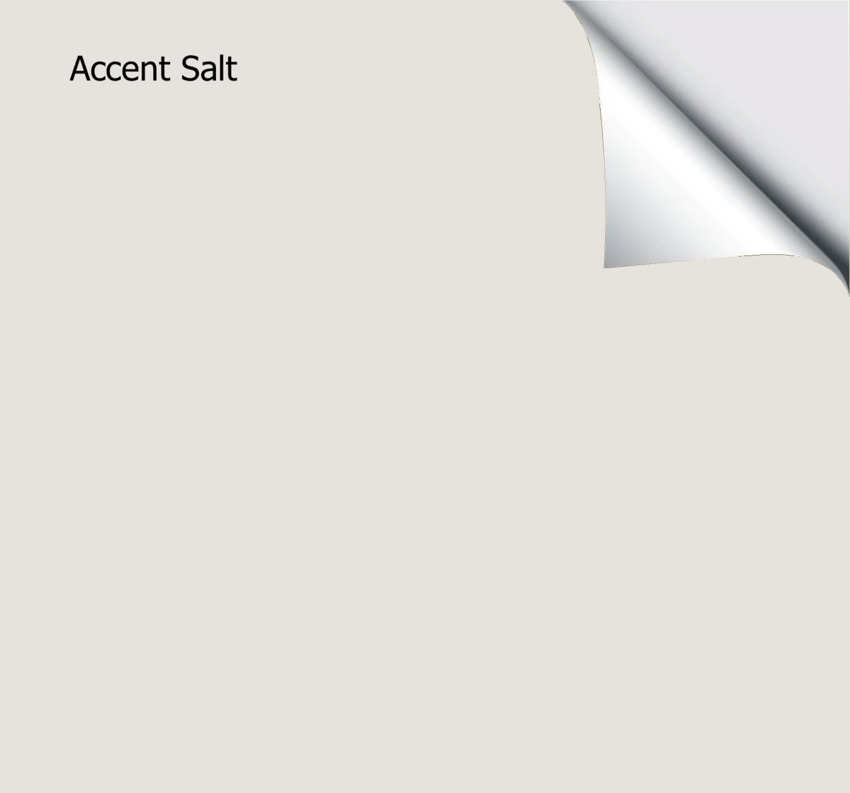 Accent Salt – The Big Paint Sample