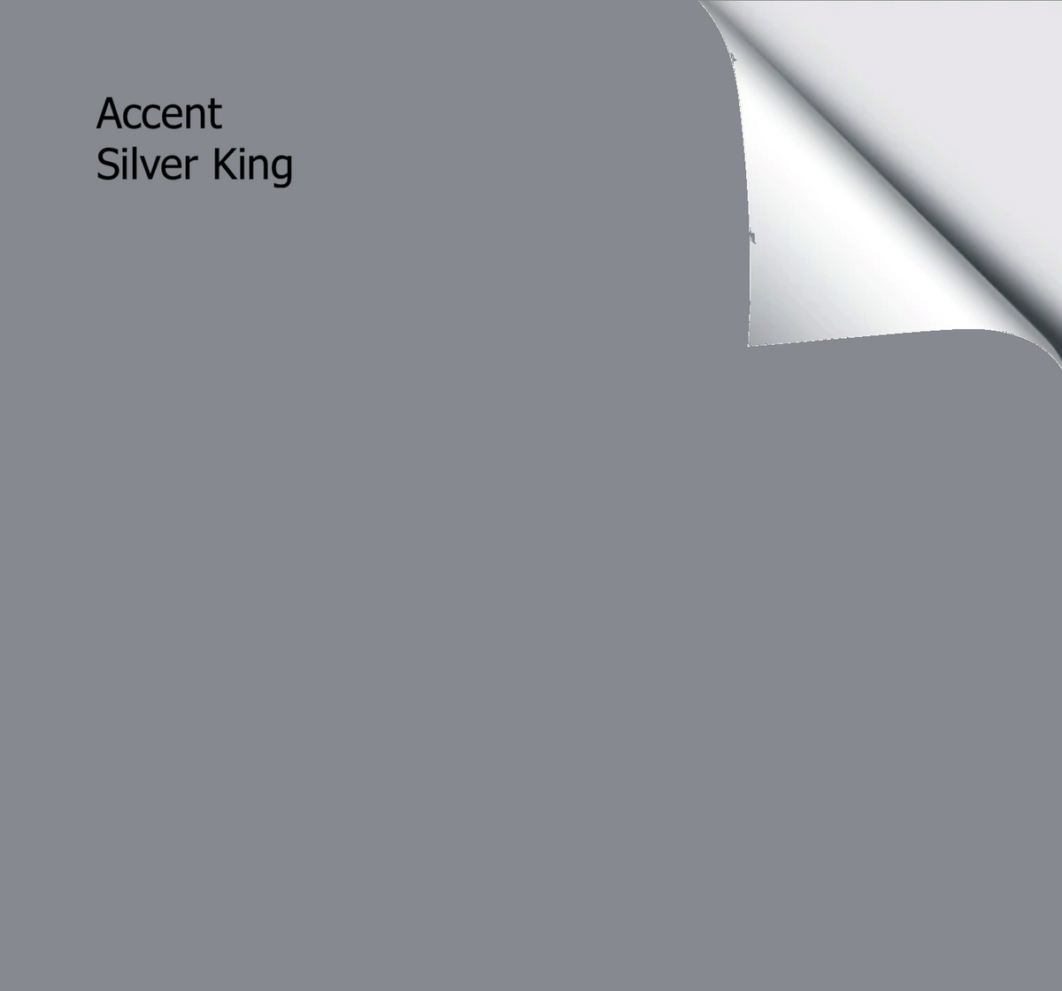 Accent Silver King – The Big Paint Sample