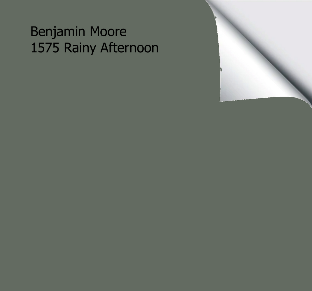 Benjamin Moore Rainy Afternoon – The Big Paint Sample