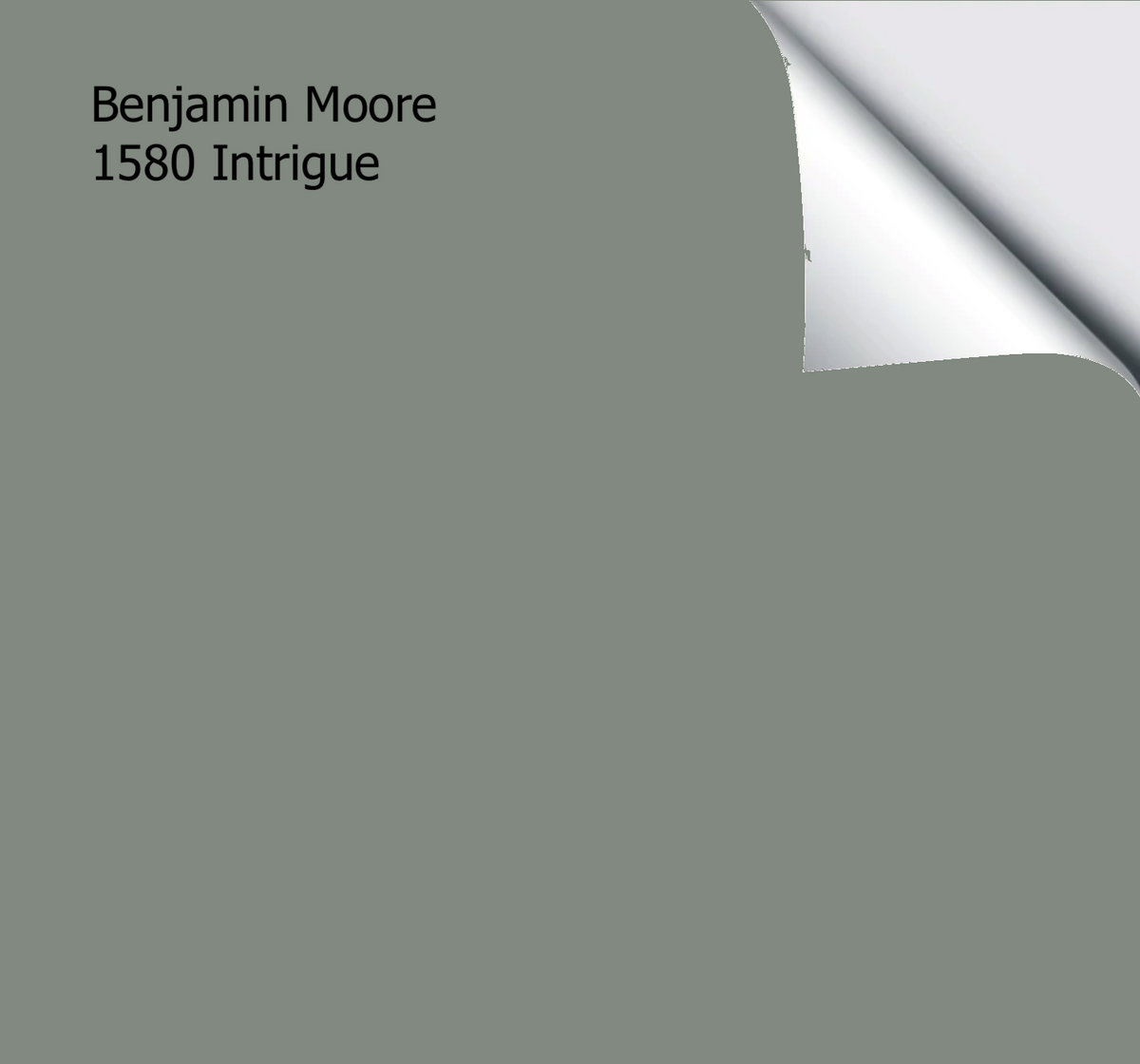 Benjamin Moore Intrigue – The Big Paint Sample