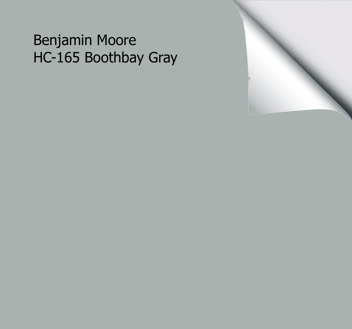 Benjamin Moore Boothbay Gray – The Big Paint Sample