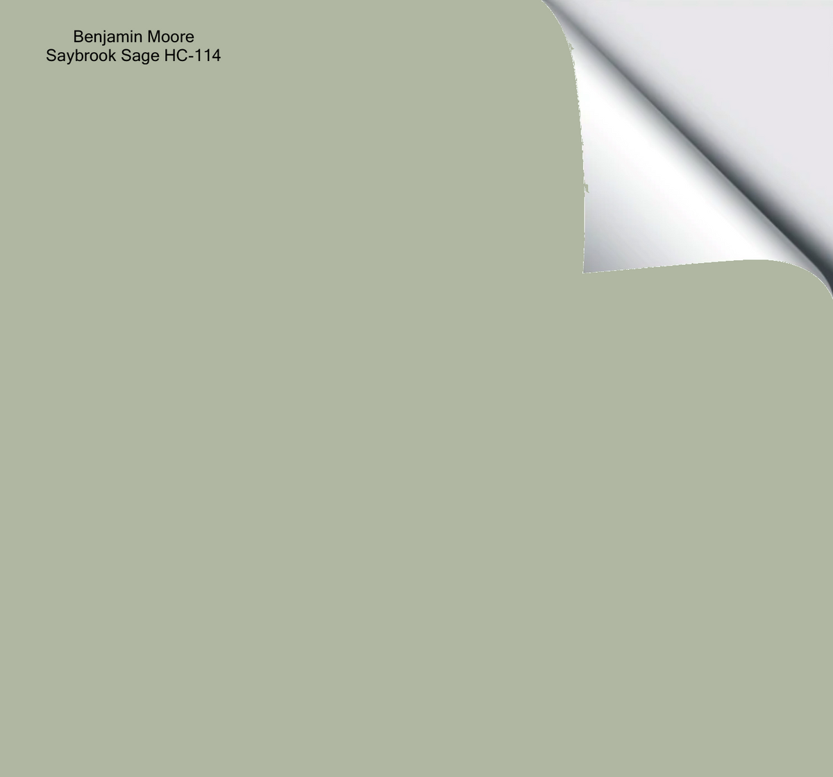 Benjamin Moore Saybrook Sage – The Big Paint Sample