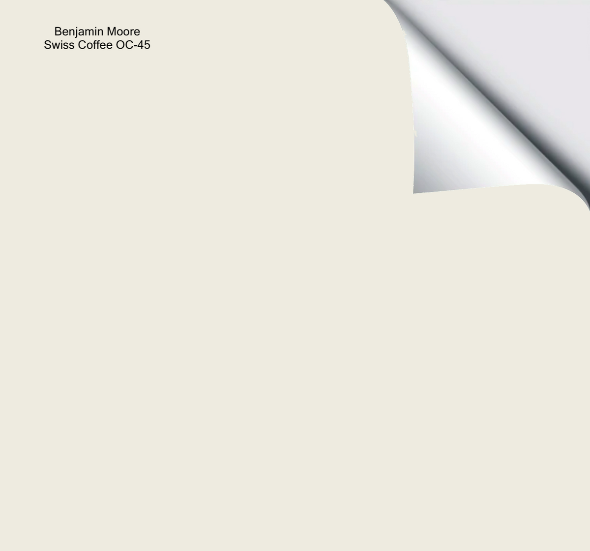 Benjamin Moore Swiss Coffee – The Big Paint Sample