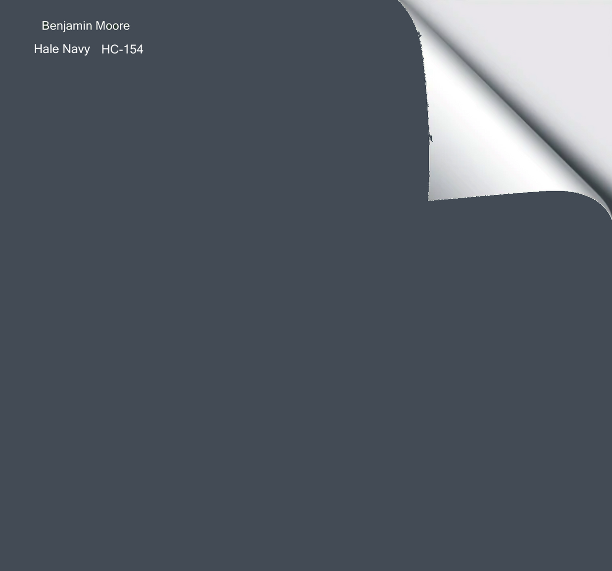Benjamin Moore Hale Navy – The Big Paint Sample