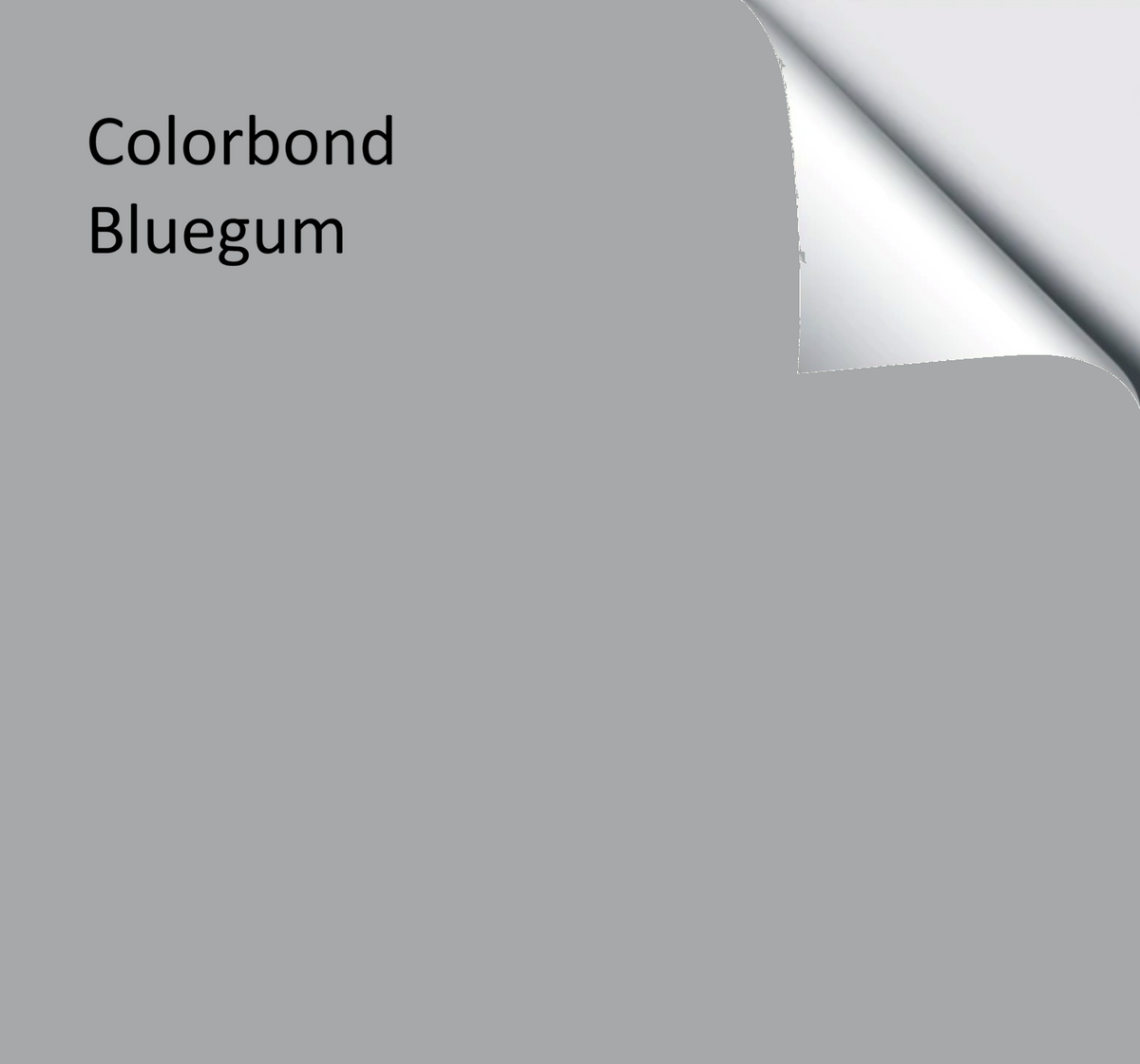 Colorbond Bluegum – The Big Paint Sample