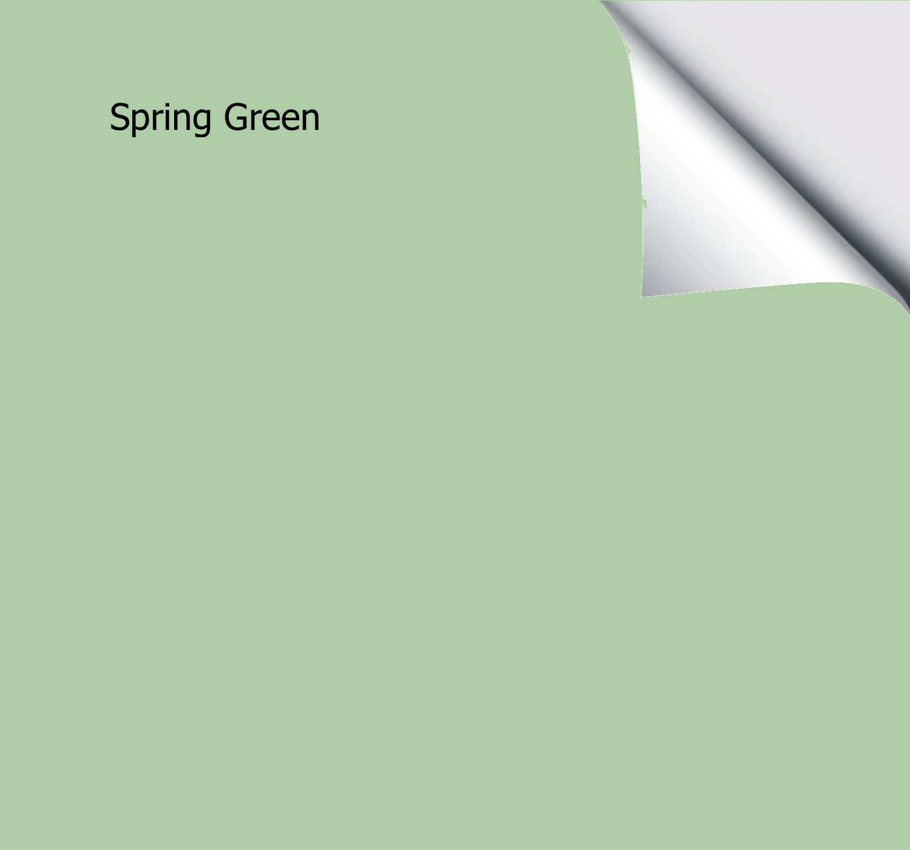 Dulux Classic Calm – The Big Paint Sample