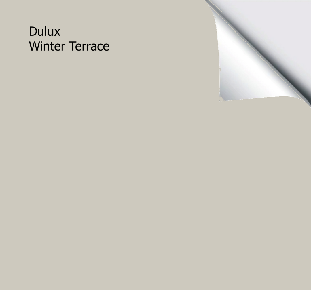Dulux Winter Terrace – The Big Paint Sample