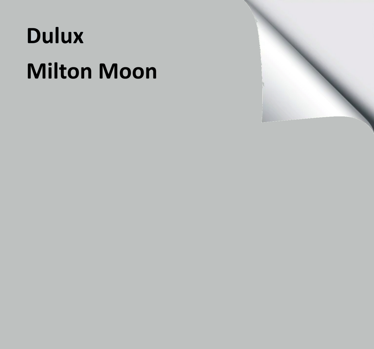 Dulux Milton Moon – The Big Paint Sample