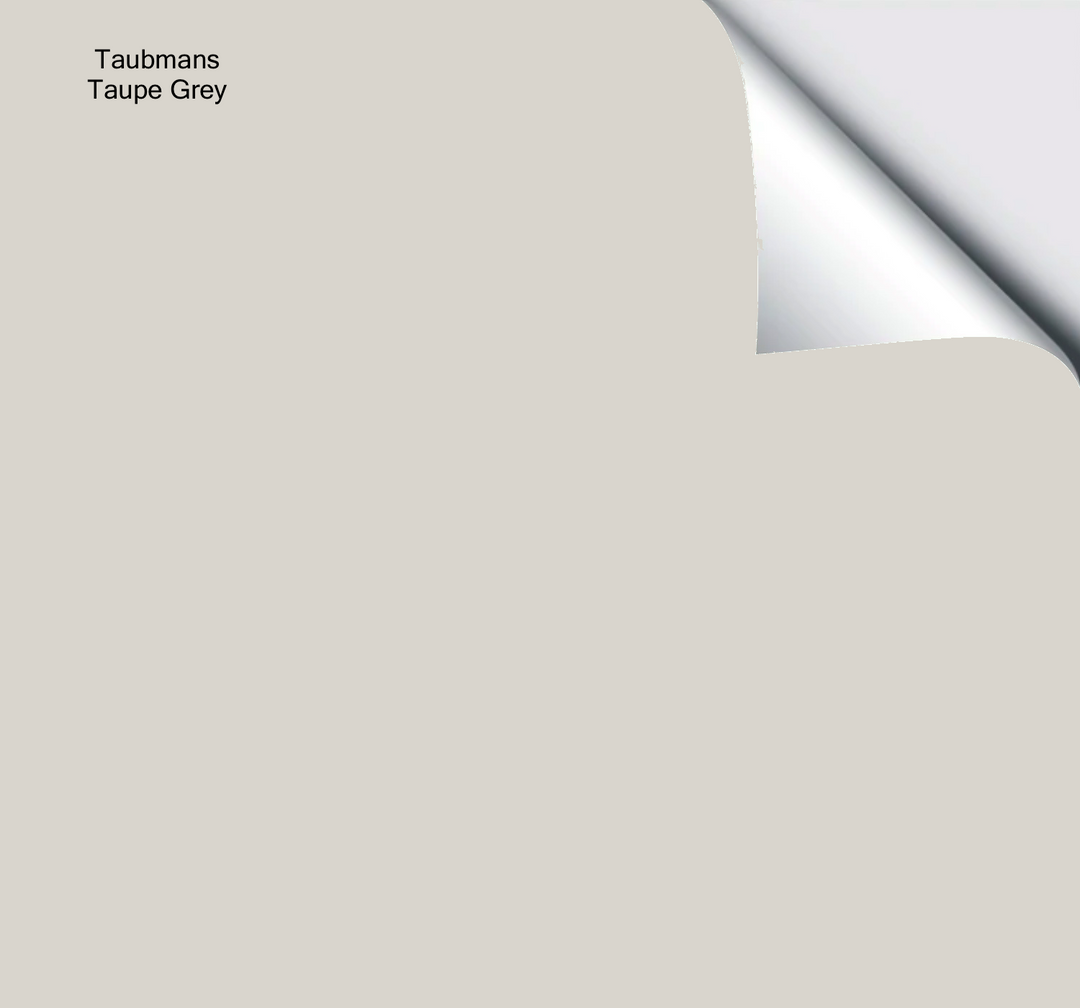 Taubmans Taupe Grey – The Big Paint Sample