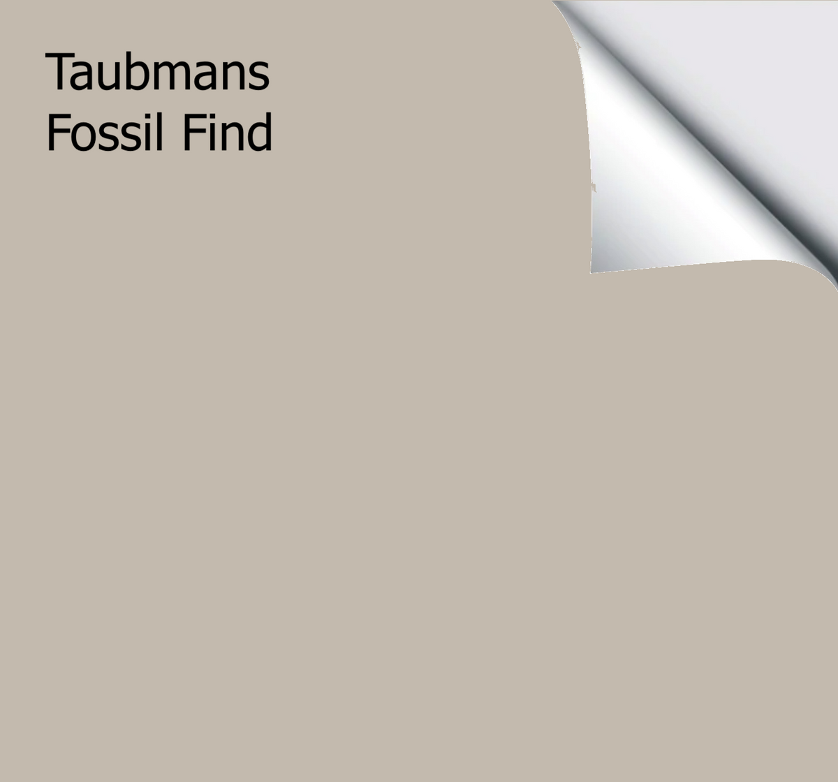 Taubmans Fossil Find – The Big Paint Sample