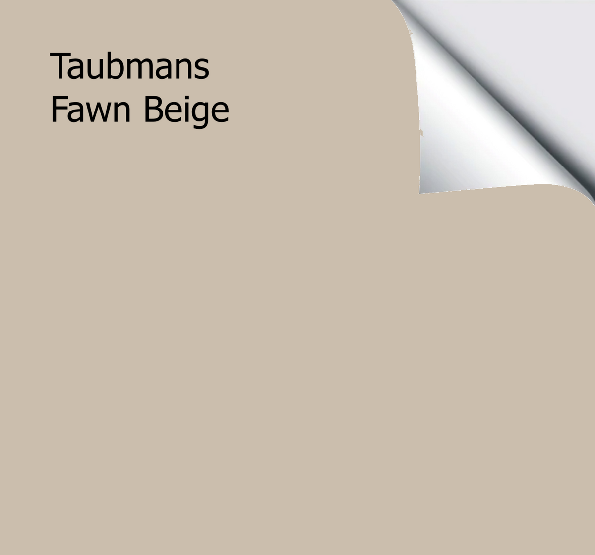 Taubmans Fawn Beige – The Big Paint Sample