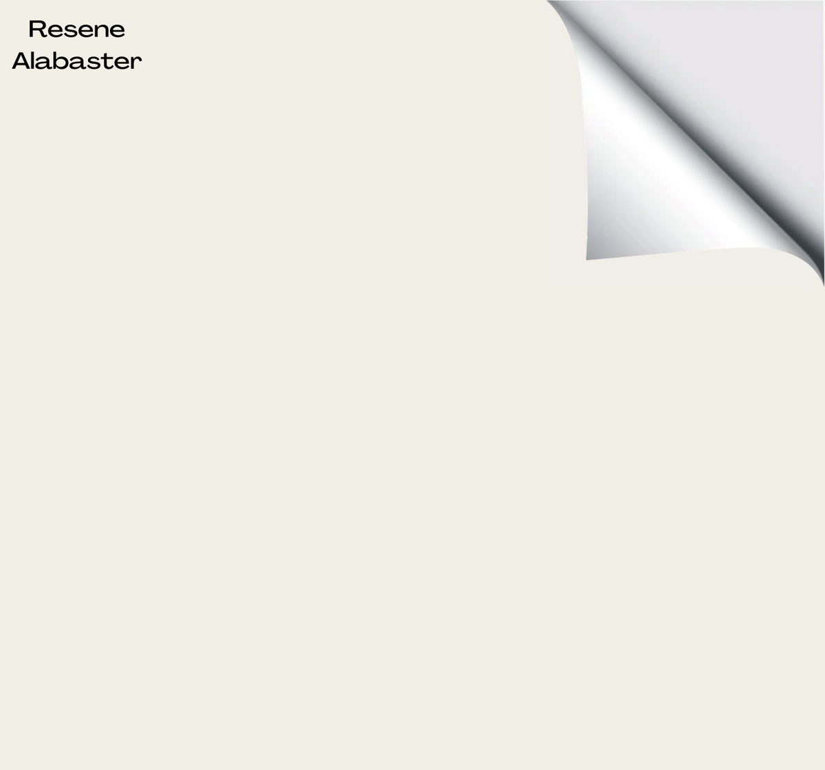 Resene Alabaster – The Big Paint Sample