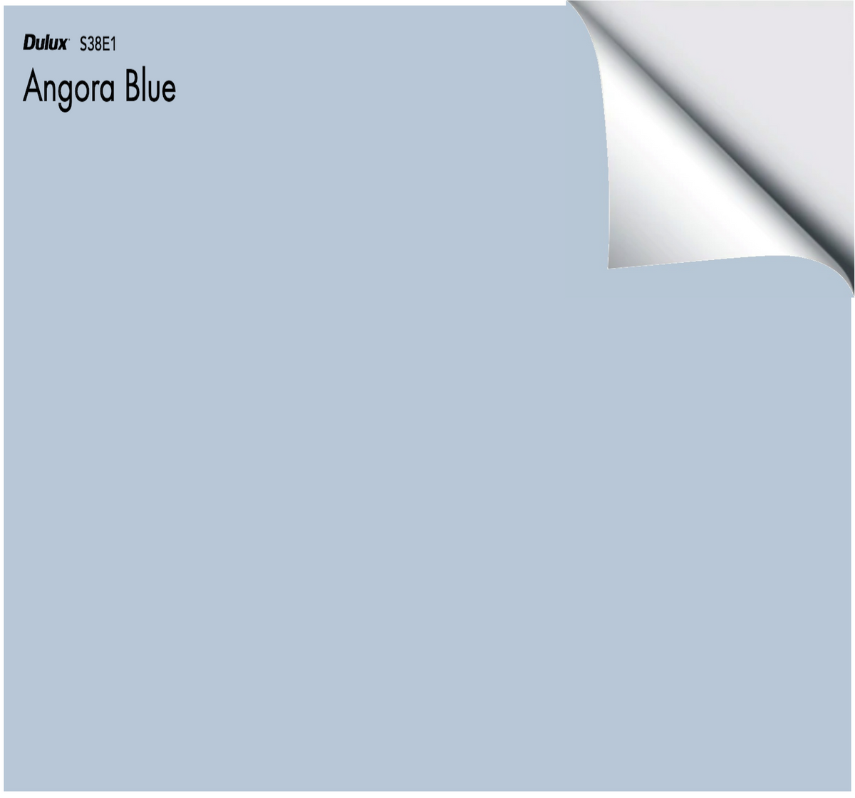Dulux Angora Blue – The Big Paint Sample
