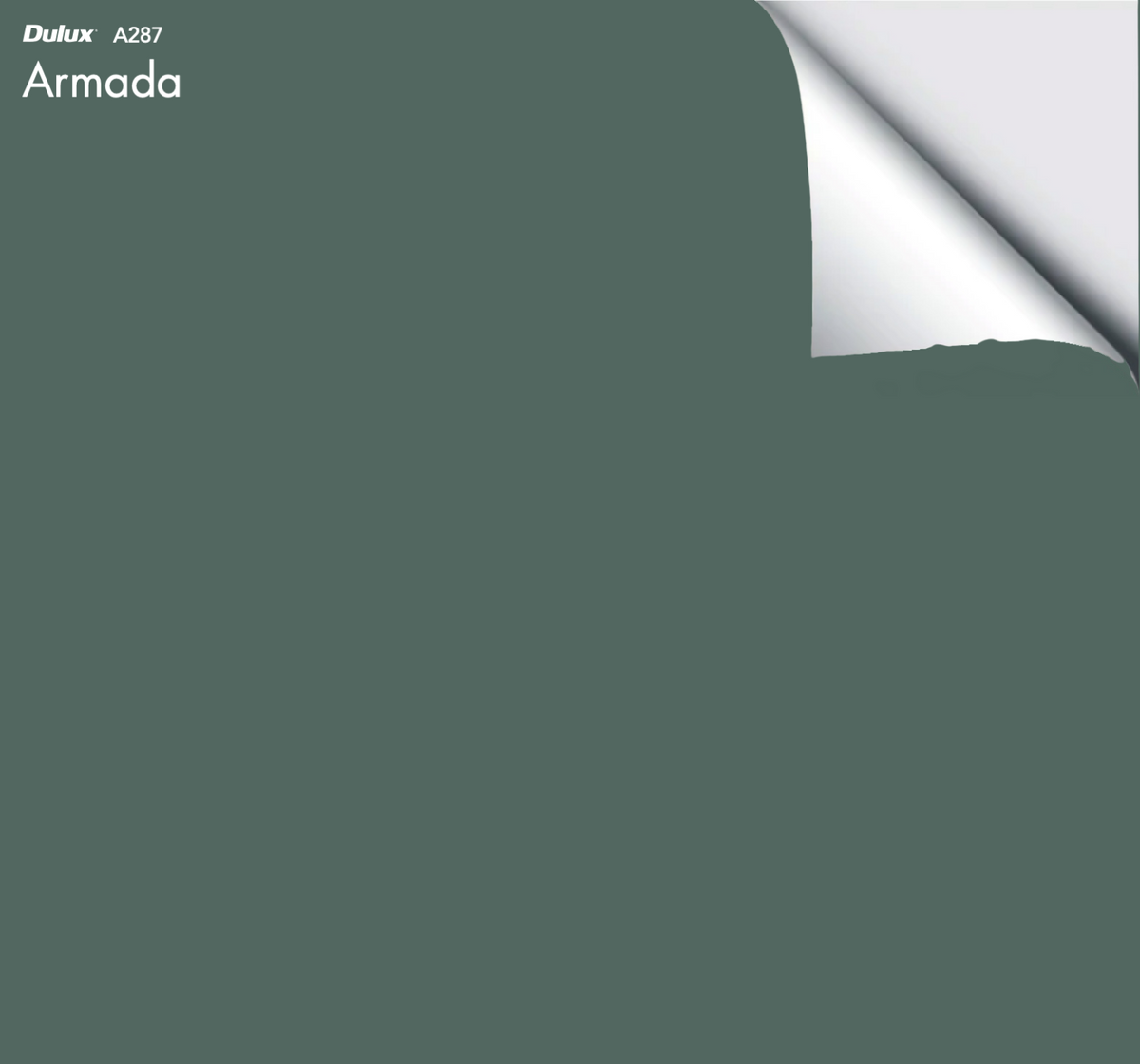 Dulux Armada – The Big Paint Sample