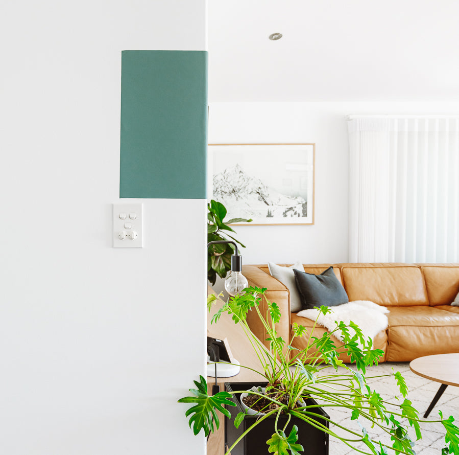 Colorbond® Basalt® – The Big Paint Sample