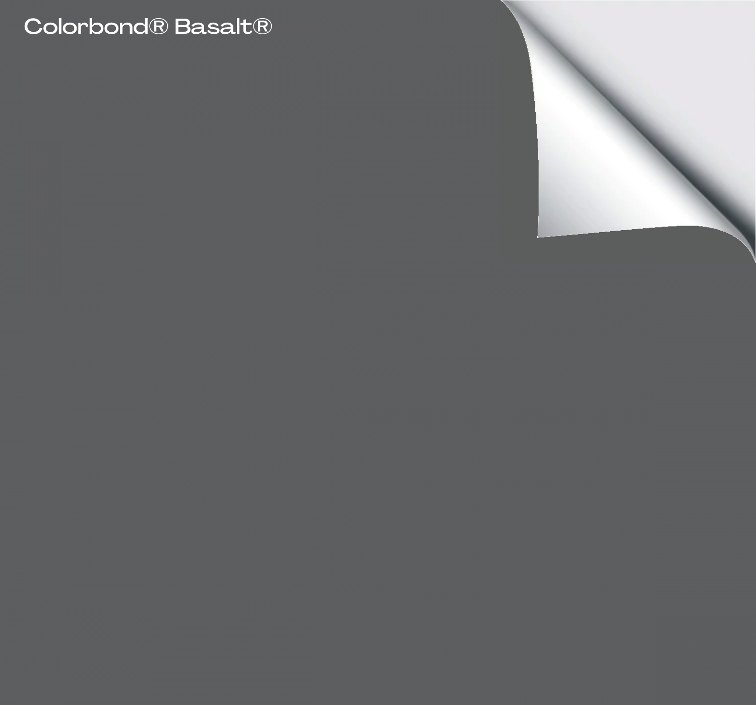 Colorbond® Basalt® – The Big Paint Sample