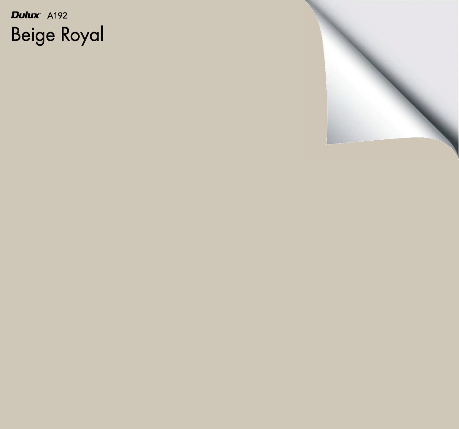Dulux Beige Royal – The Big Paint Sample
