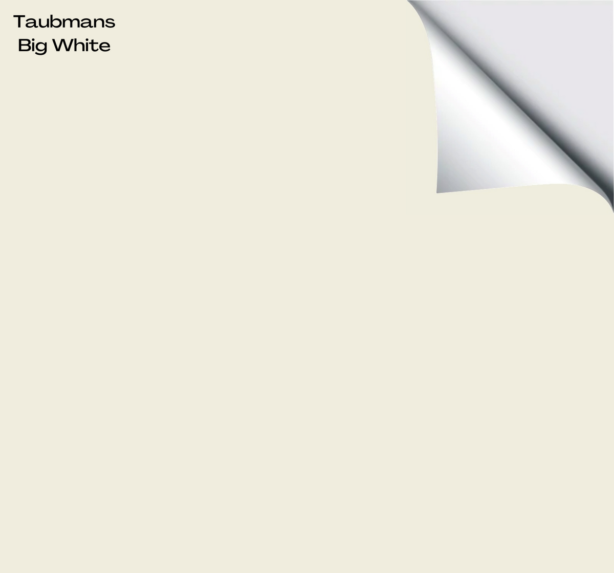 Taubmans Big White – The Big Paint Sample