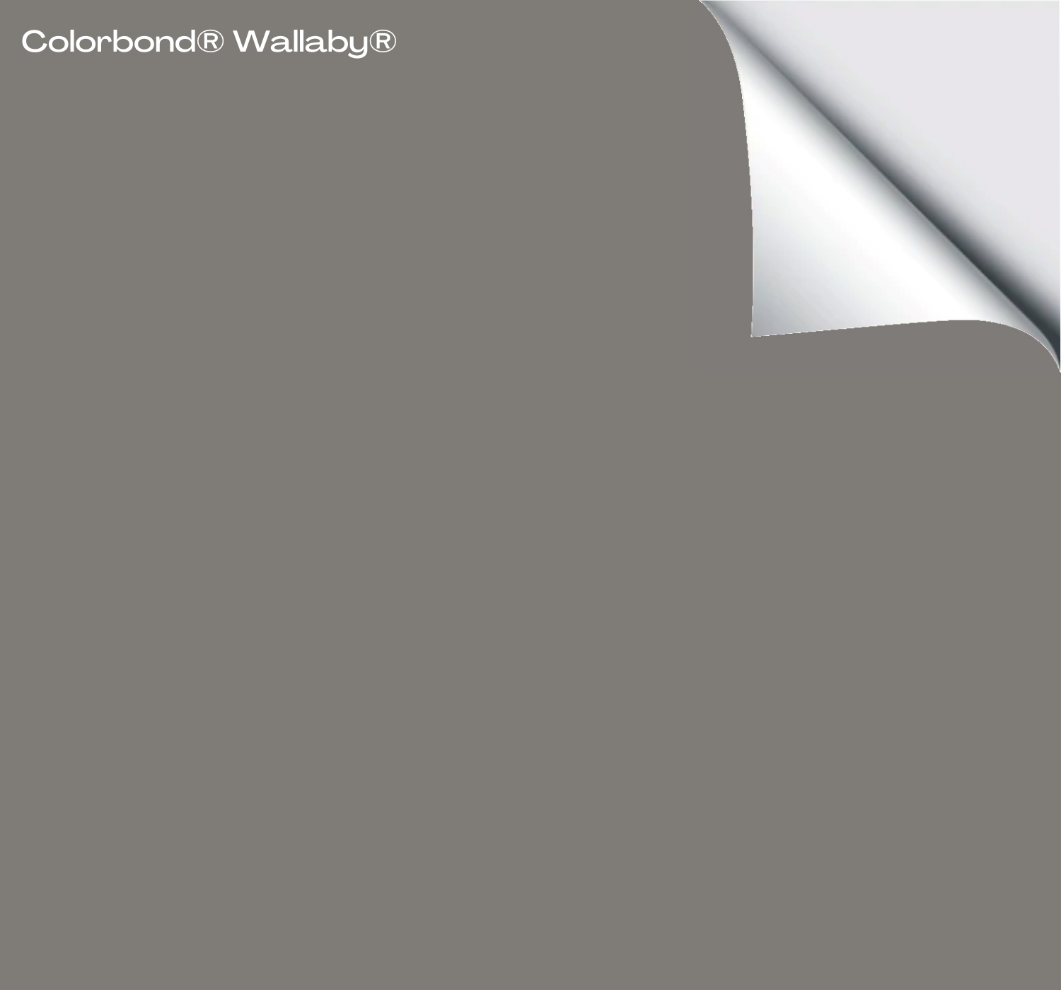 Colorbond® Wallaby® – The Big Paint Sample