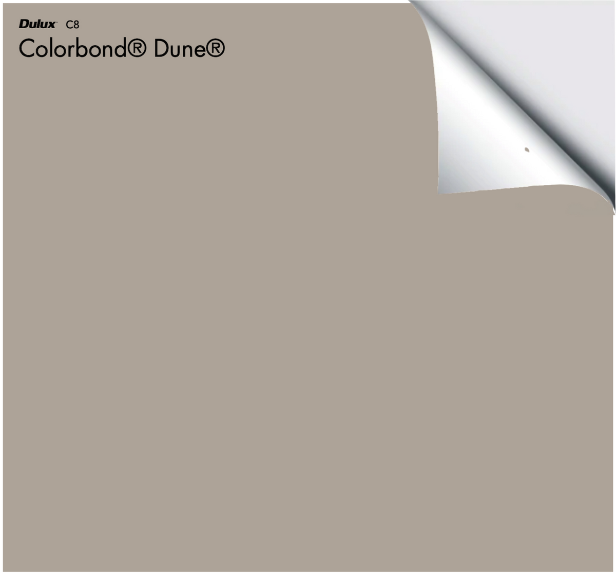 Colorbond® Dune® Matt – The Big Paint Sample