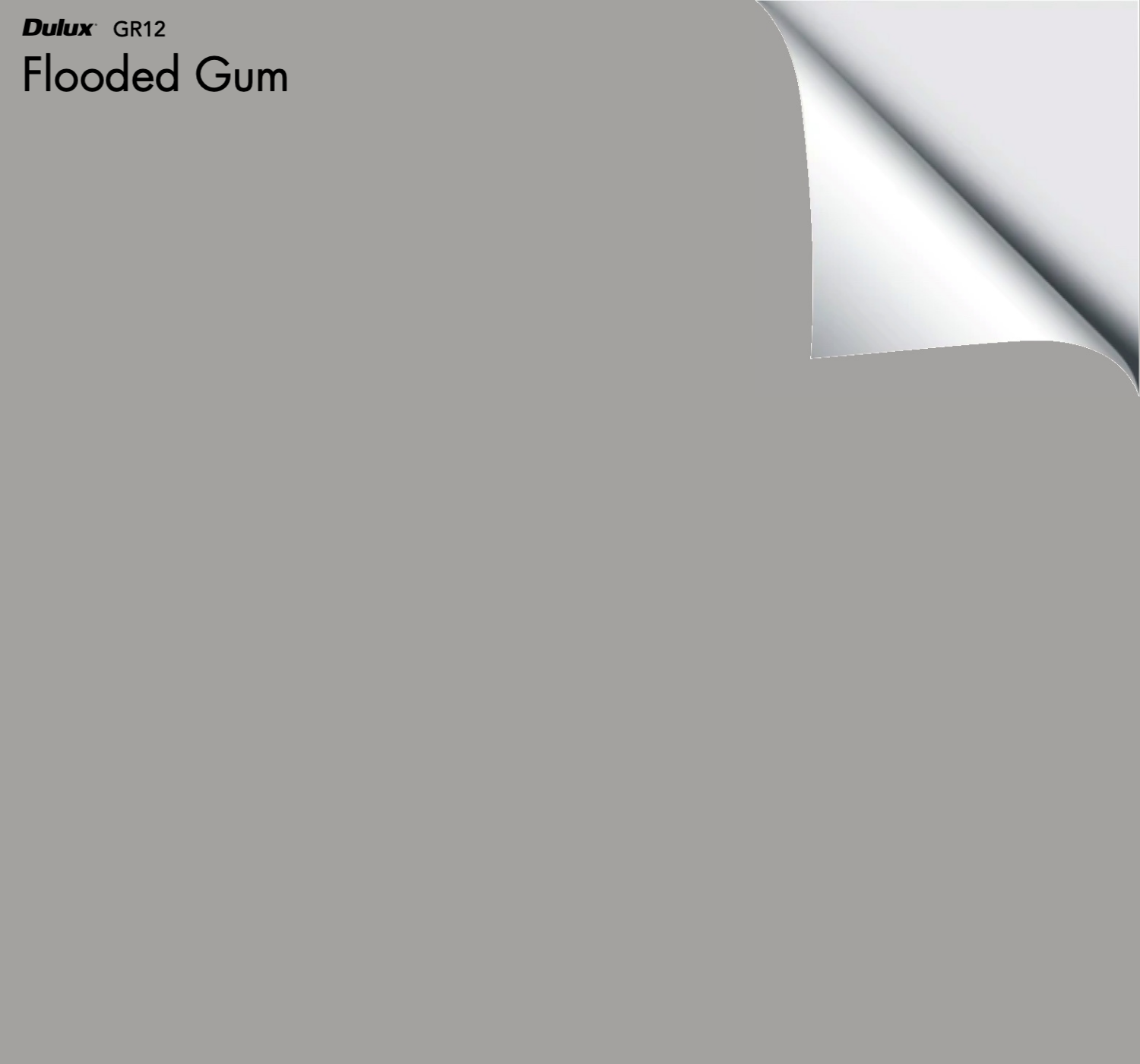 Dulux Flooded Gum – The Big Paint Sample