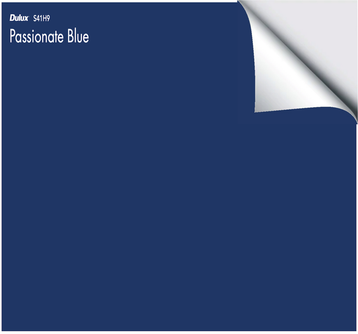 Dulux Passionate Blue – The Big Paint Sample