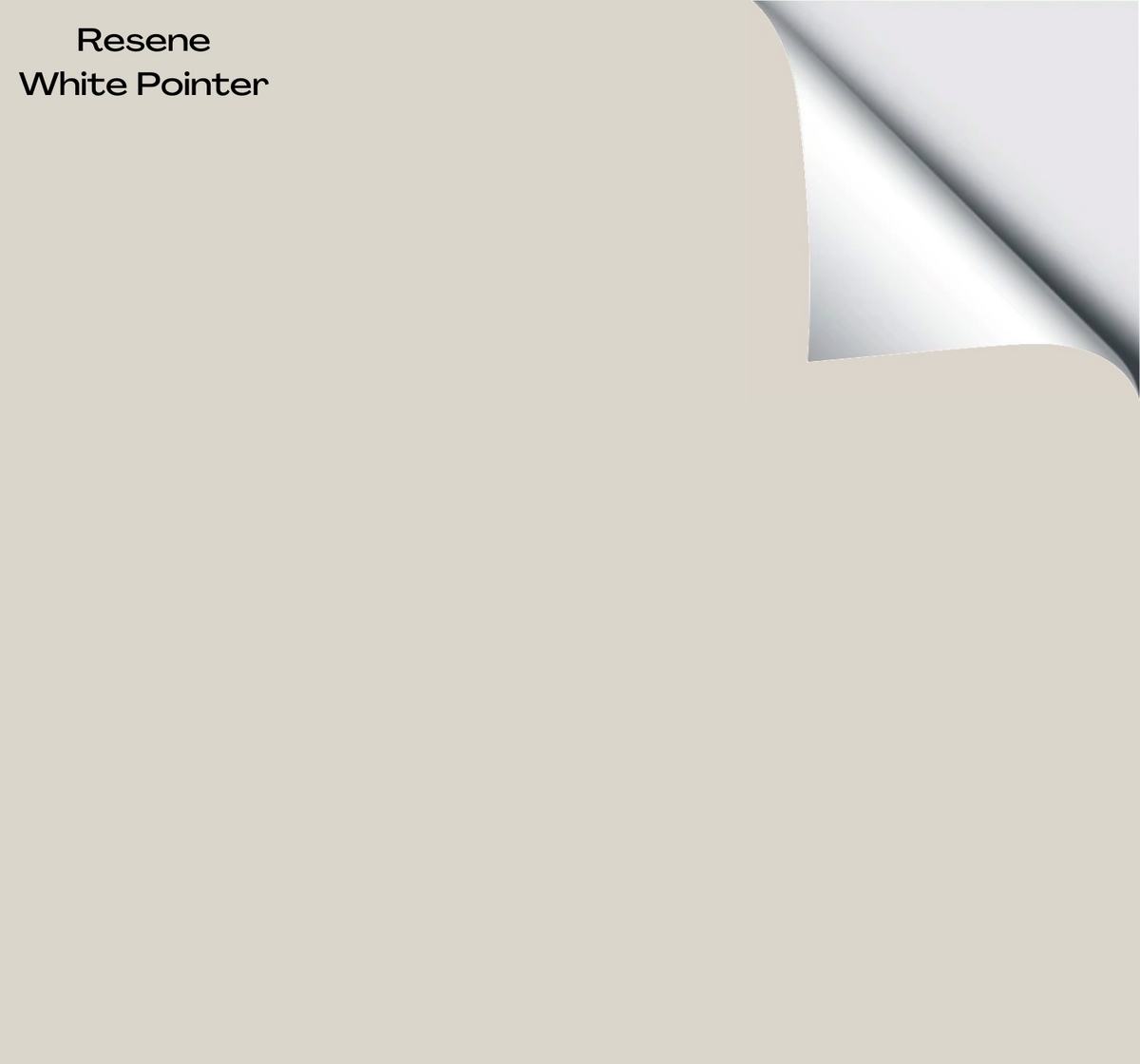 Resene White Pointer – The Big Paint Sample