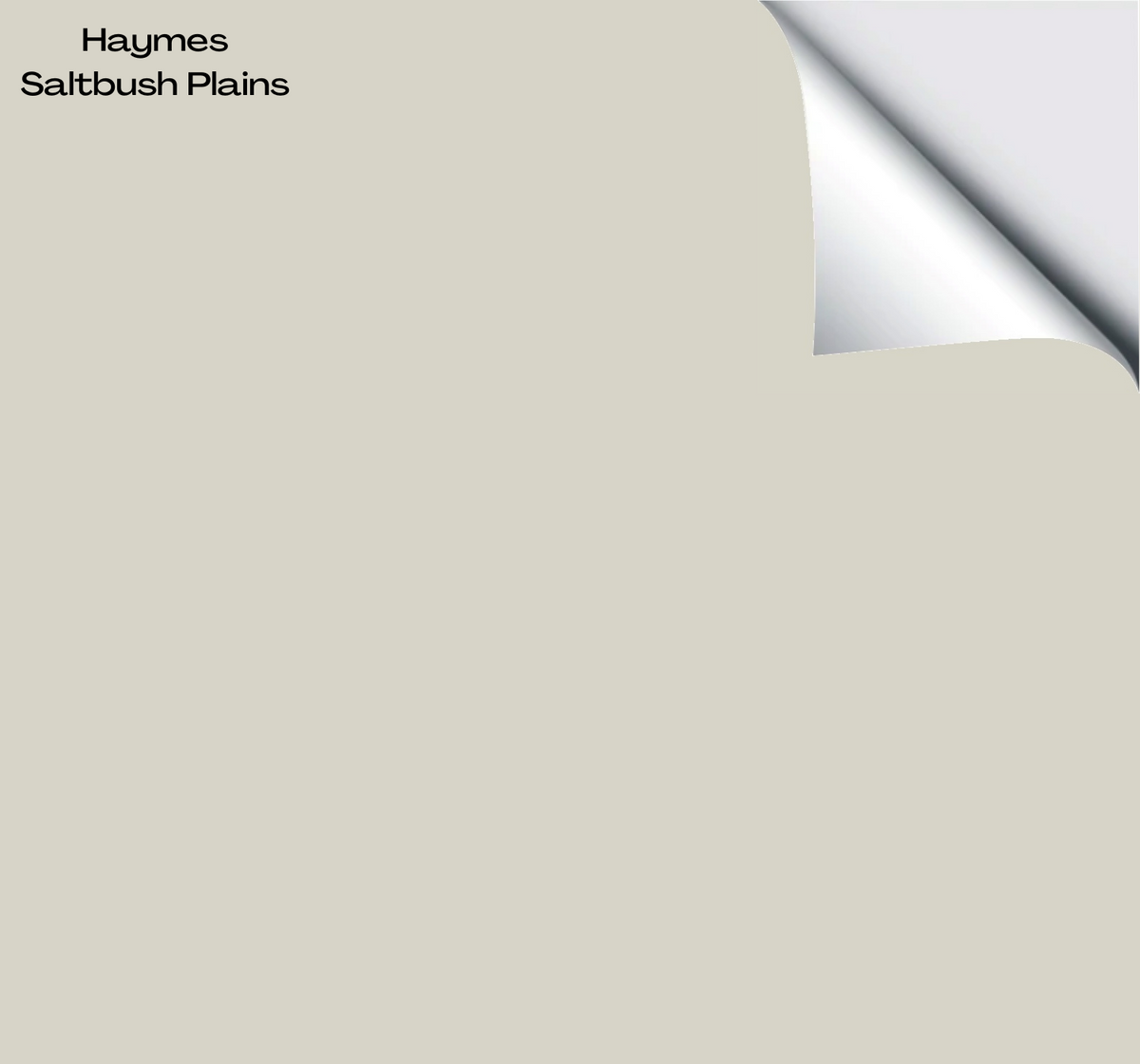 Haymes Saltbush Plains – The Big Paint Sample