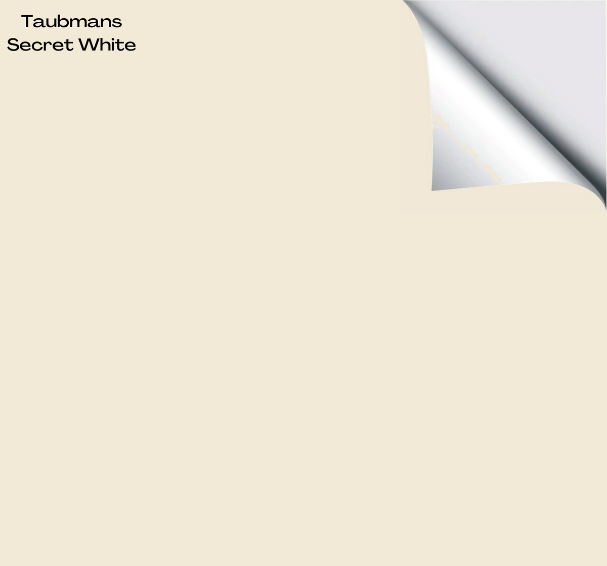 Taubmans Secret White – The Big Paint Sample