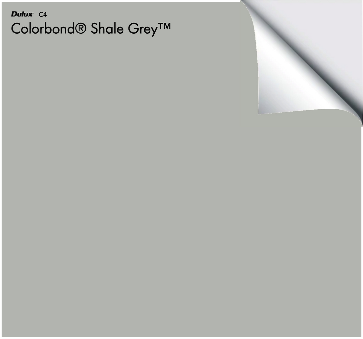 Colorbond® Shale Grey™ Matt – The Big Paint Sample