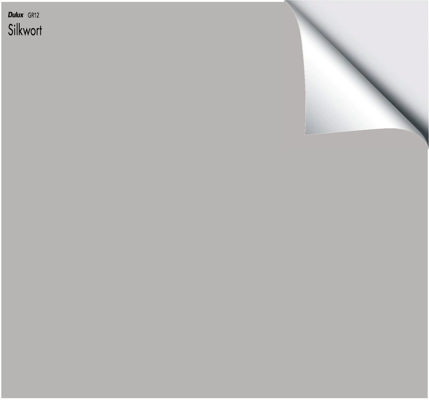 Dulux Silkwort – The Big Paint Sample