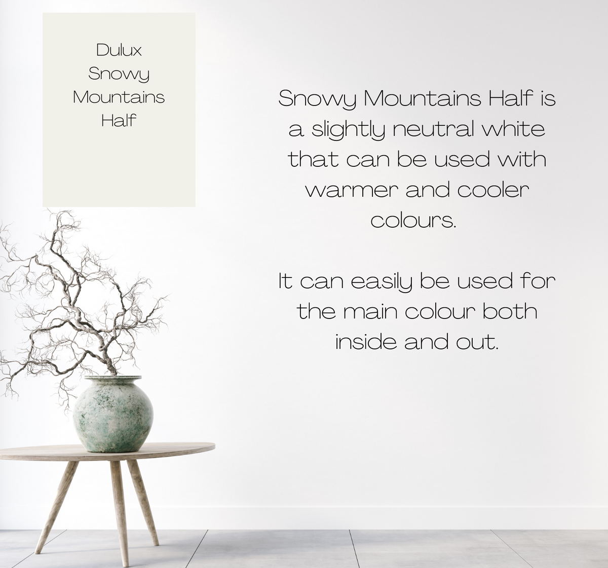 Dulux Snowy Mountains Half – The Big Paint Sample