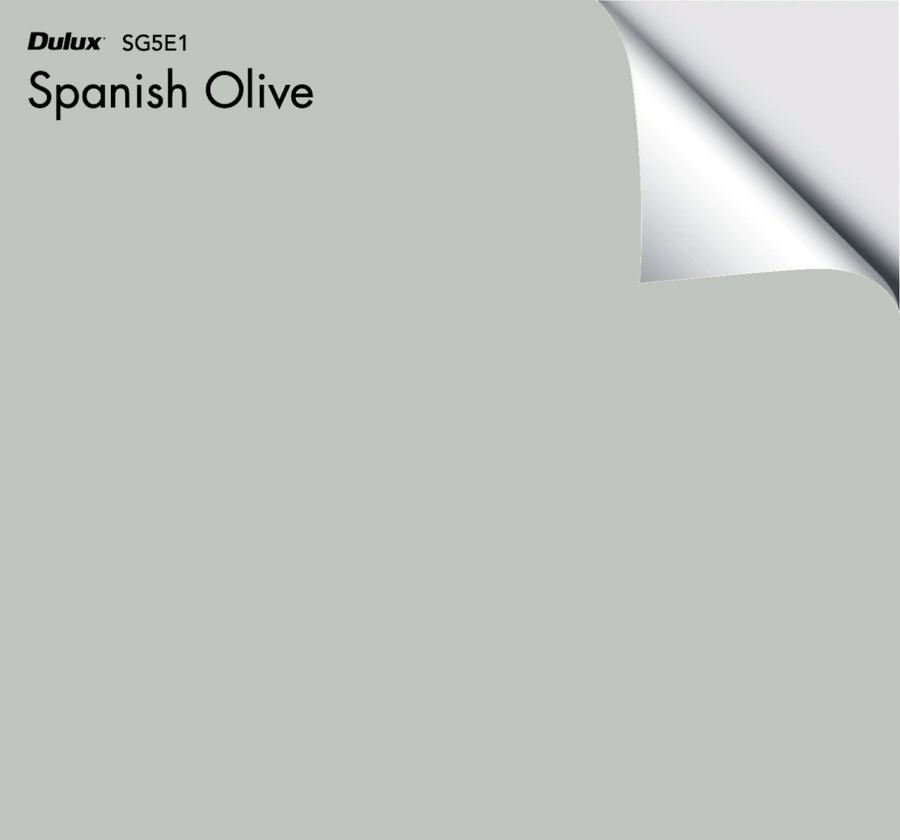Dulux Spanish Olive – The Big Paint Sample