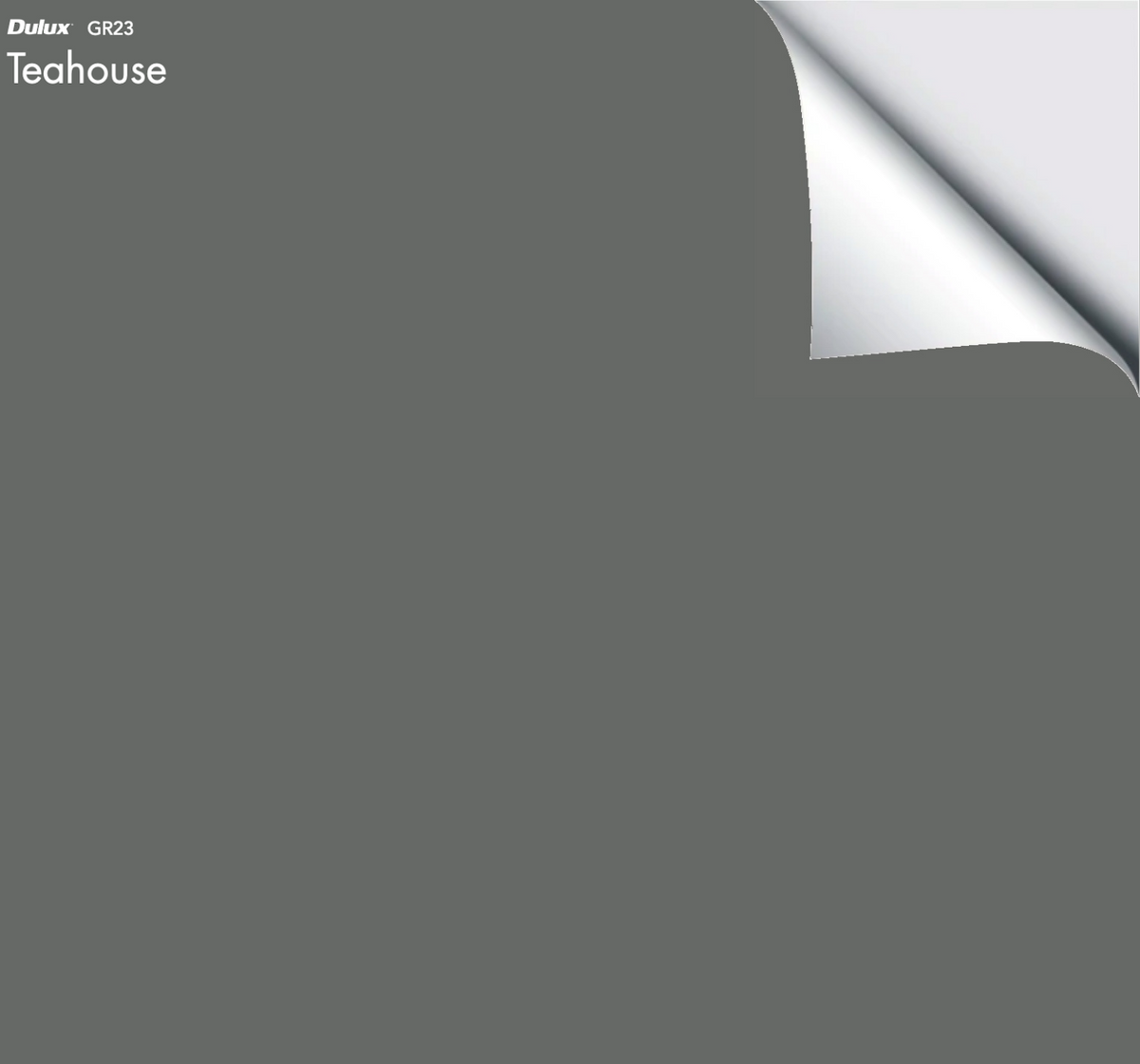 Dulux Teahouse – The Big Paint Sample