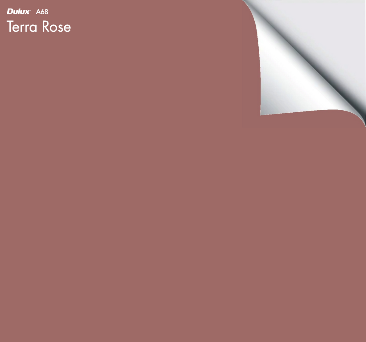Dulux Terra Rose – The Big Paint Sample