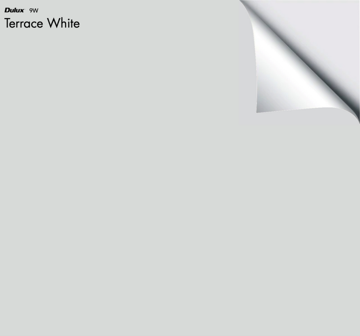 Dulux Terrace White – The Big Paint Sample