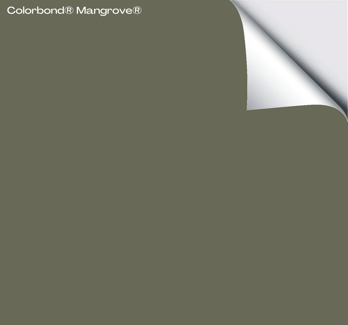 Colorbond® Mangrove® – The Big Paint Sample