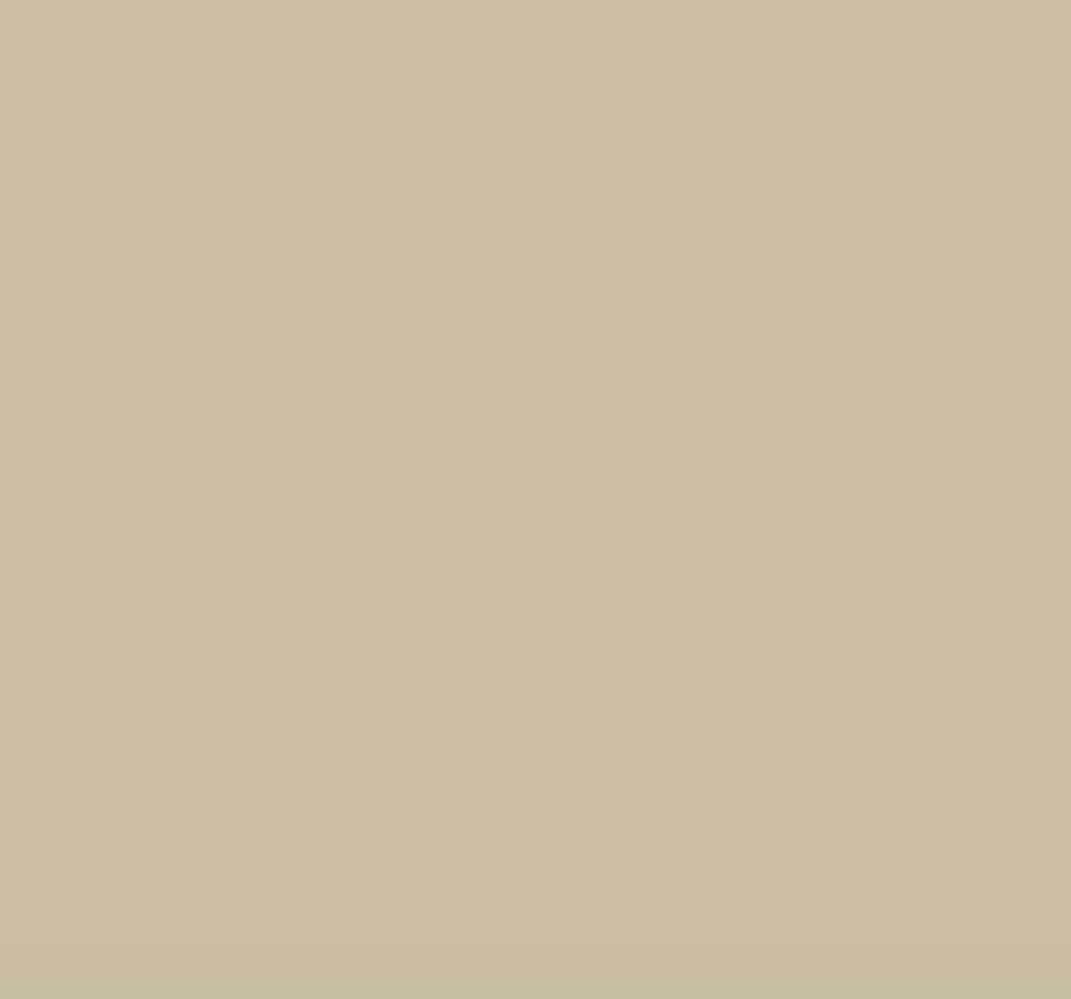 Colorbond® Paperbark® – The Big Paint Sample