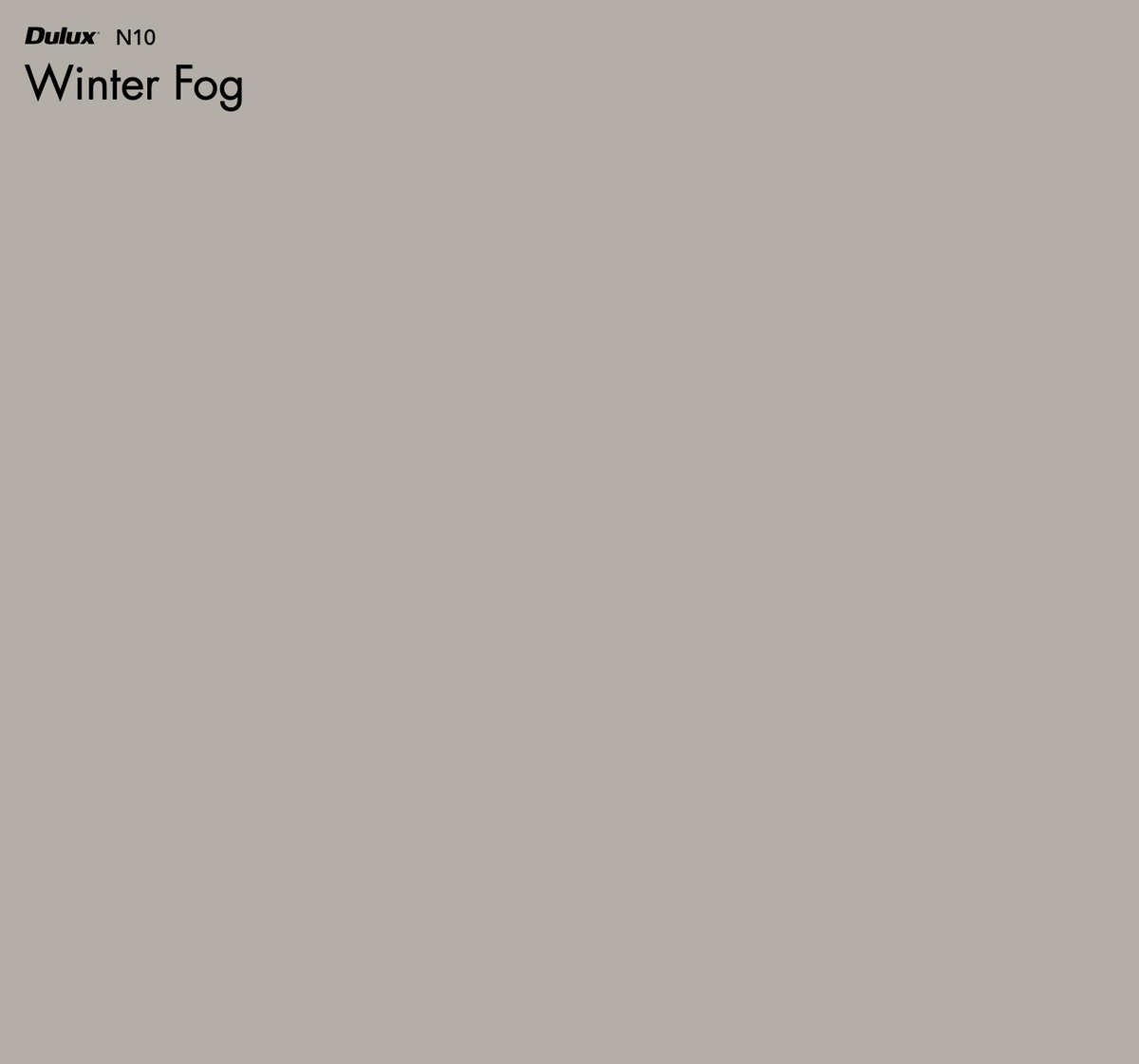 Dulux Winter Fog – The Big Paint Sample