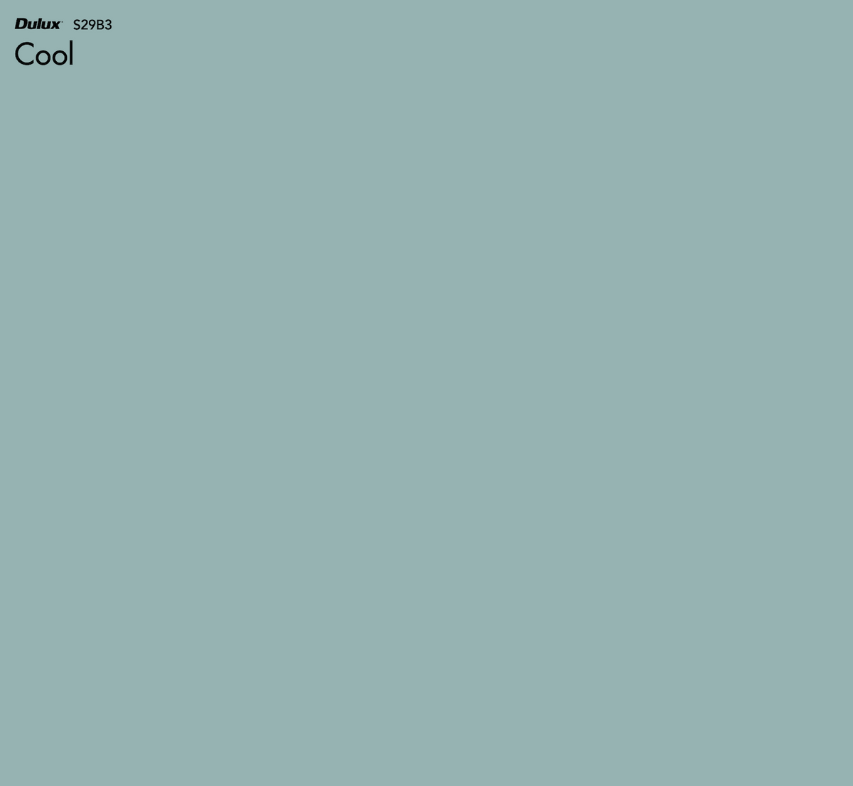 Dulux Cool – The Big Paint Sample