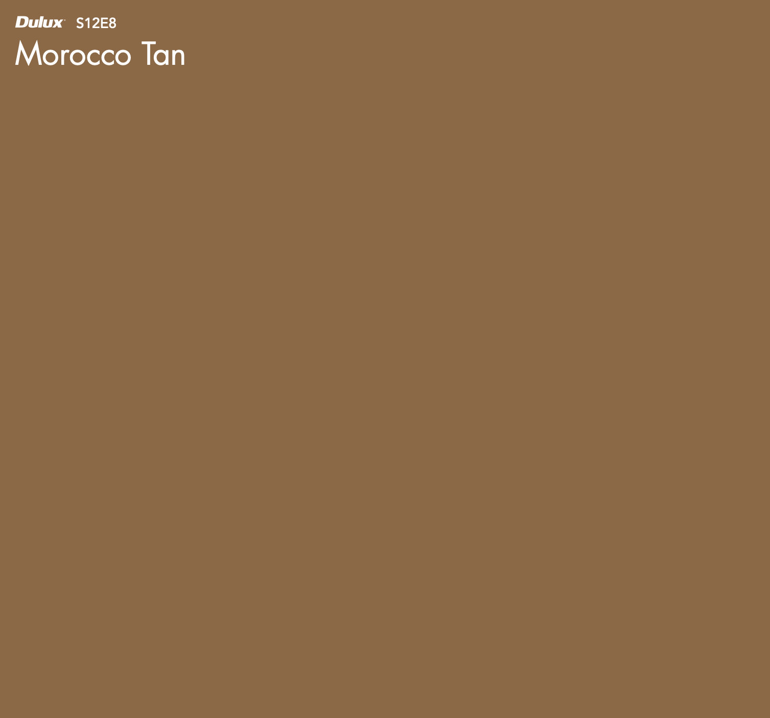 Dulux Morocco Tan – The Big Paint Sample