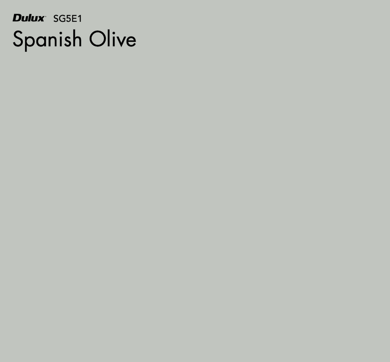 Dulux Spanish Olive – The Big Paint Sample