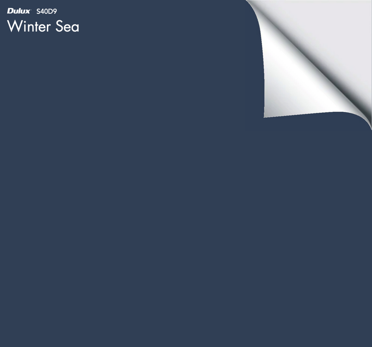 Dulux Winter Sea – The Big Paint Sample